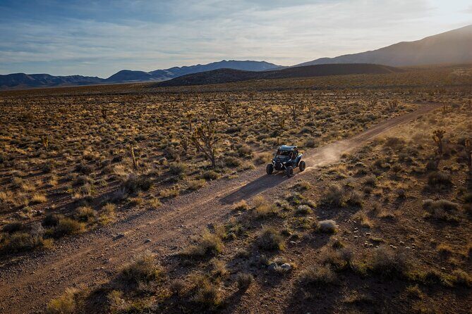 Summer Mojave Desert Twilight RZR Quest in Las Vegas - Authenticity and Unique Features