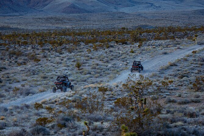 Summer Mojave Desert Twilight RZR Quest in Las Vegas - Price and Value