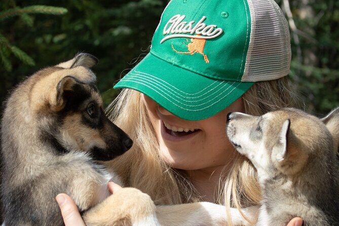 Summer Mushing Cart Ride & Kennel Tour - Why This Tour Is Perfect for You