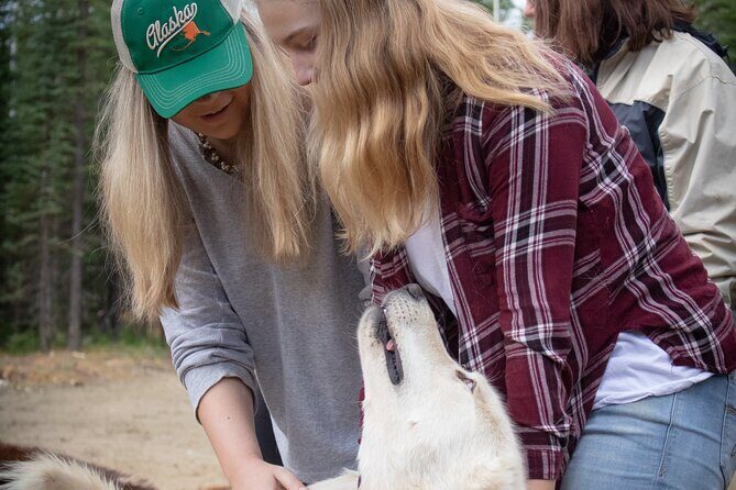 Summer Mushing Cart Ride & Kennel Tour - The Sum Up: Is This Tour Right for You?