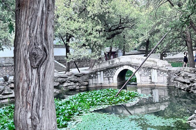 Summer Palace Discovery Small Group Tour with Expert Guide - What Travelers Say