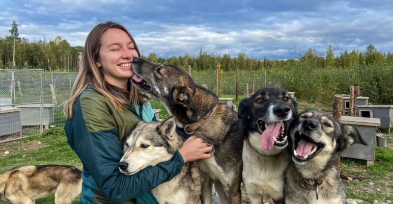 Summer Sled Dog Kennel Tour - What to Expect on the Kennel Tour