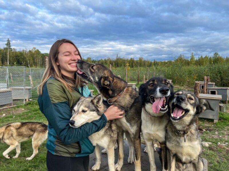Summer Sled Dog Kennel Tour - The Experience’s Drawbacks and Considerations
