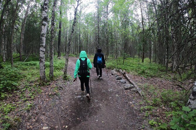 Summer Valley and Forest Hike - In-Depth Look at the Summer Valley and Forest Hike
