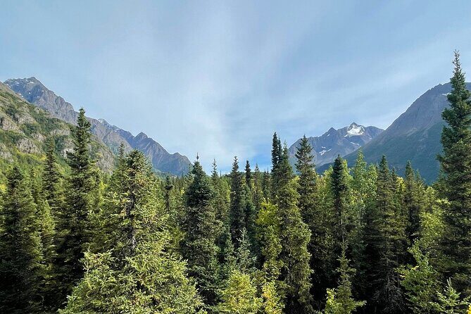 Summer Valley and Forest Hike - Reviews in Context