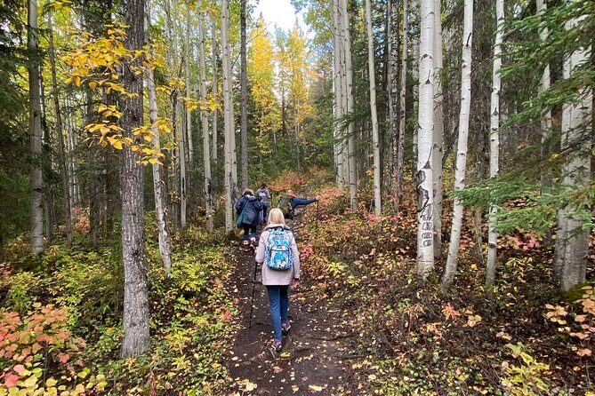 Summer Valley and Forest Hike - FAQ