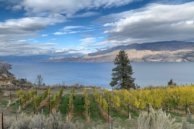 Summerland Half Day Wine Tour (Incl. Tasting Fees & Guide Grat!) - A Closer Look at the Itinerary: What Makes Each Stop Special
