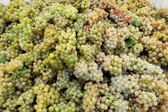 Summerland Private Wine Tour - Full Day - Final Thoughts