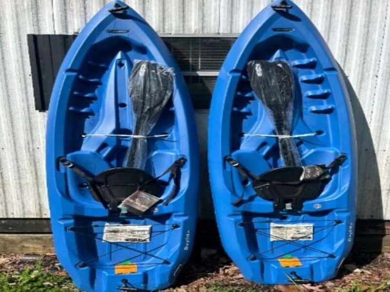 Summersville Lake: Kayak or SUP Rental with Gear - Key Points