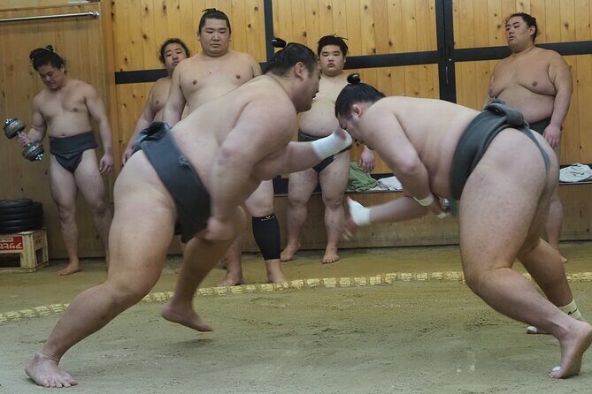 Sumo Morning Training Watch in Osaka (hotel pickup) - Introduction