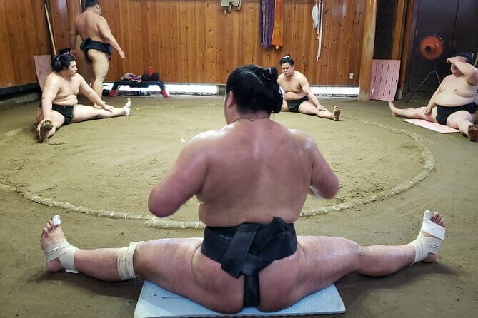 Sumo Practice Viewing Guided Tour and Photo with Sumo Wrestlers - Key Points