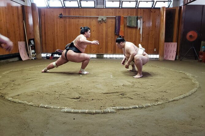 Sumo Practice Viewing Guided Tour and Photo with Sumo Wrestlers - A Deep Dive into the Experience
