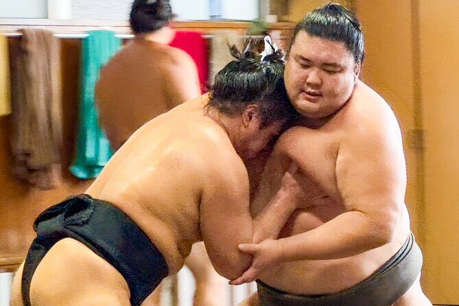Sumo Practice Watch with a Specialist Reporter - Key Points