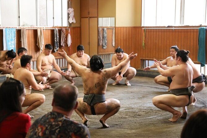 Sumo Practice Watch with a Specialist Reporter - What’s Included and What to Expect