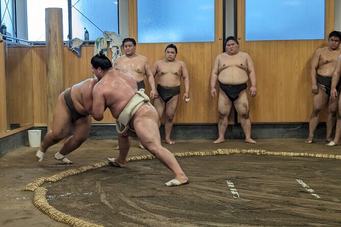 Sumo show and Chanko lunch - Key Points