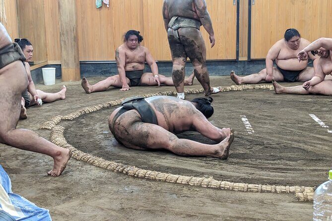 Sumo show and Chanko lunch - What to Expect from the Sumo Show and Chanko Lunch Tour