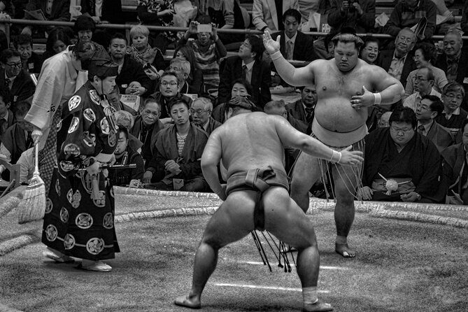 Sumo Tournament: Guided Experience with Ticket and Assigned Seat - The Sum Up