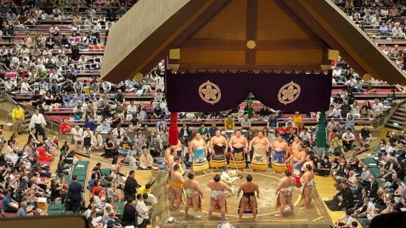Sumo Tournament: Guided Tour + Ticket & Assigned Seat - Introduction
