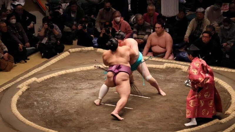 Sumo Tournament: Guided Tour + Ticket & Assigned Seat - Analyzing the Value