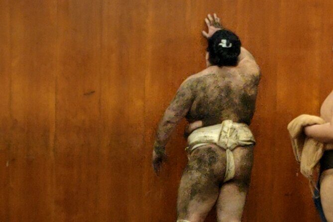 Sumo Training Watching Experience in Tokyo - Going Beyond the Basics: An In-Depth Look at the Tour