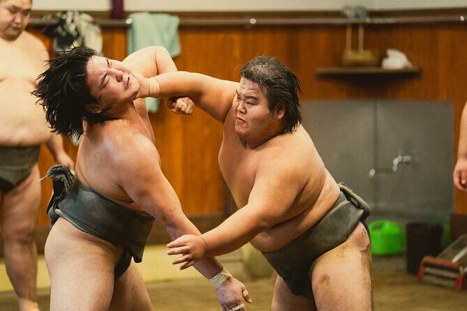 Sumo Wrestlers Morning Practice Tour Tokyo Sumida District - Key Points