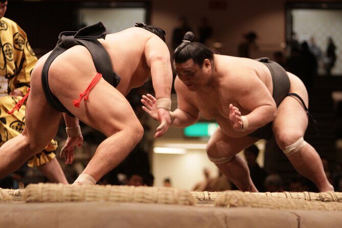Sumo Wrestling Tournament Chair Seats & Expert Guide | Osaka Mar - Key Points