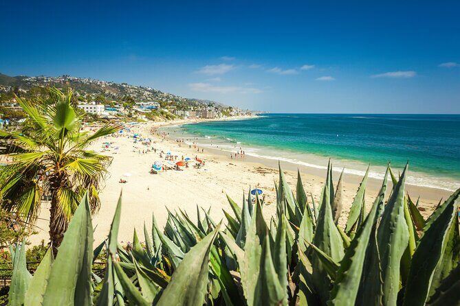 Sun, Art, and Sands in Laguna Beach Family Adventure - Authentic Experiences from Other Travelers