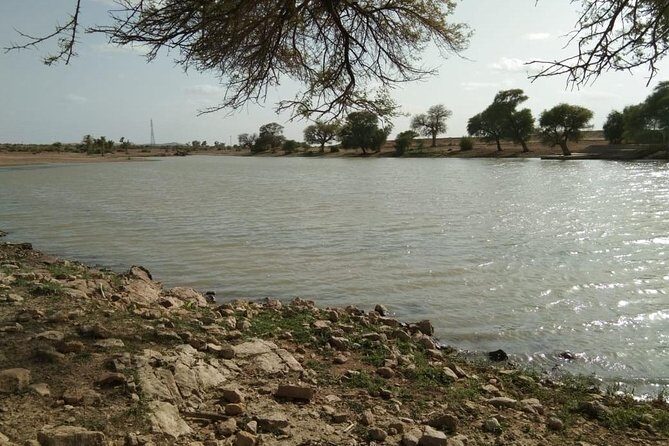 Sun Set Safari with Dinner - The Itinerary and What to Expect