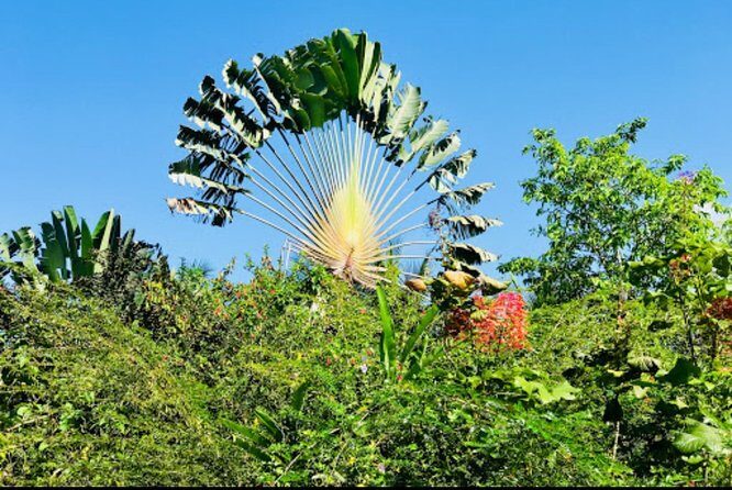 Sun Valley farm Tour - Authenticity and Value
