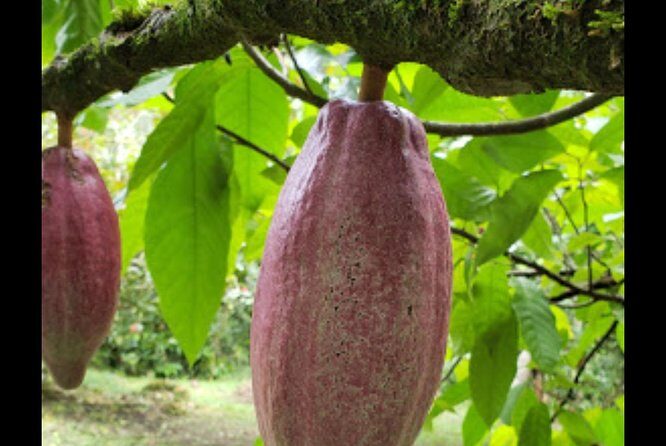 Sun Valley farm Tour - Who Will Love This Tour?