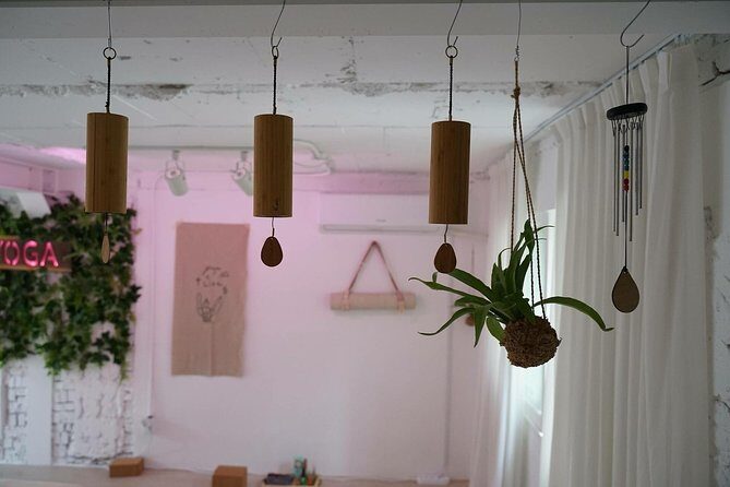 [SUN YOGA] Daily Yoga - An In-Depth Look at the Experience