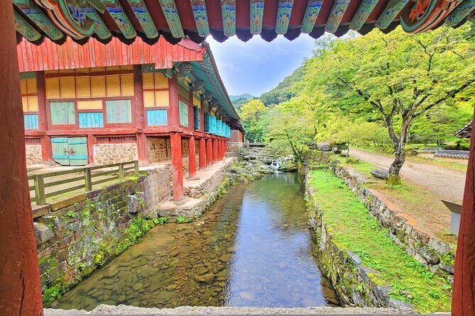 Suncheon one day tour from Seoul, Busan or Suncheon - A Deep Dive into the Suncheon Tour Experience