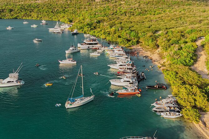 Sunday Boat Festival/Meet up with Djs, open bar & snacks - An Overview of the Experience