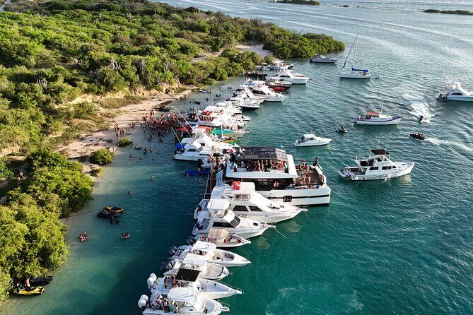Sunday Boat Festival/Meet up with Djs, open bar & snacks - Who Should Book This Tour?