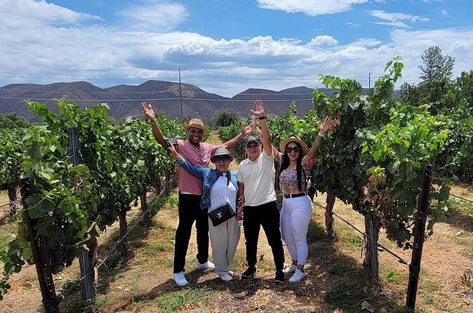 Sunday Special Wine Tour in Temecula Valley with Lunch - FAQs