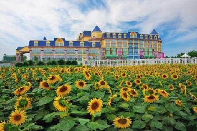 Sunflower Garden and Wild Bird Wetland Park Private Tour - Why This Tour Offers Genuine Value