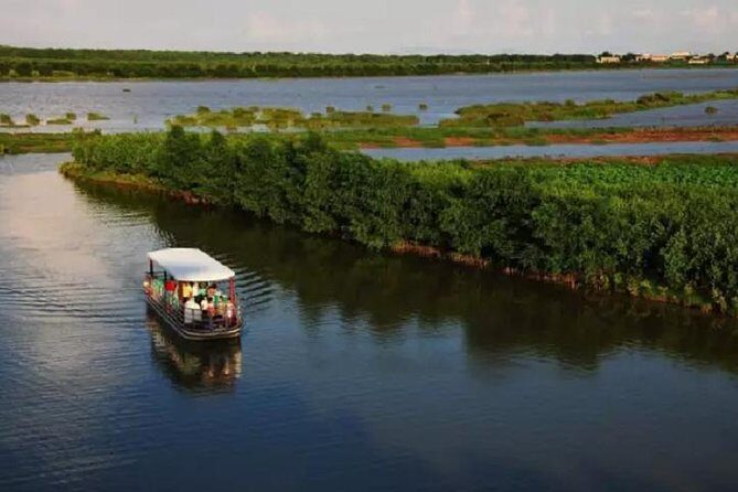 Sunflower Garden and Wild Bird Wetland Park Private Tour - Transportation and Comfort
