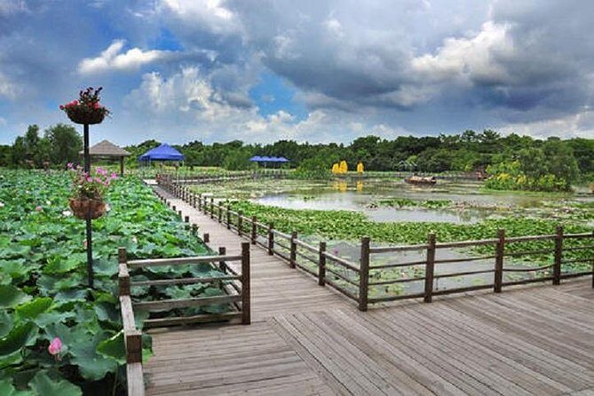 Sunflower Garden and Wild Bird Wetland Park Private Tour - Final Thoughts: Who Is This Tour For?