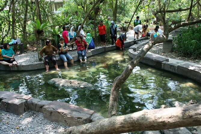 Sungkai Hot Springs & Nature Park Tour from Kuala Lumpur - What Sets This Tour Apart?