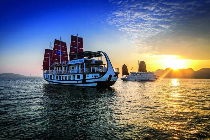 Sunlight Premium Cruise Lan Ha Bay 2 Days 1 Night - Who Is This Tour Best Suited For?