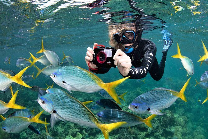 Sunlover Reef Cruises Cairns Great Barrier Reef Experience - A Closer Look at the Itinerary