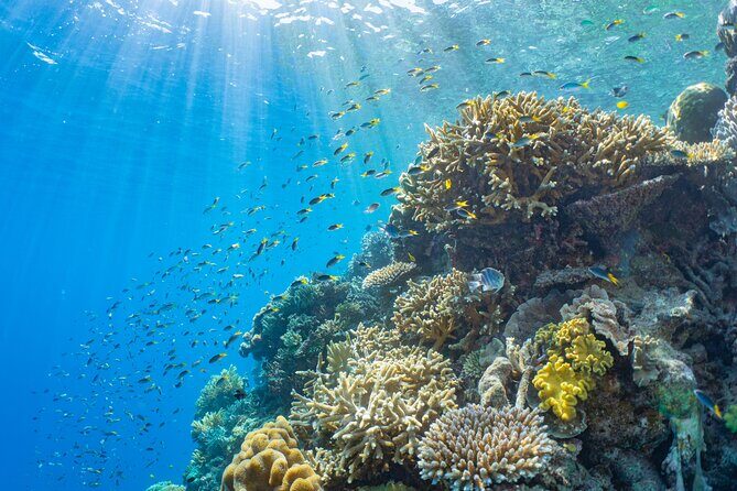 Sunlover Reef Cruises Cairns Great Barrier Reef Experience - The Sum Up
