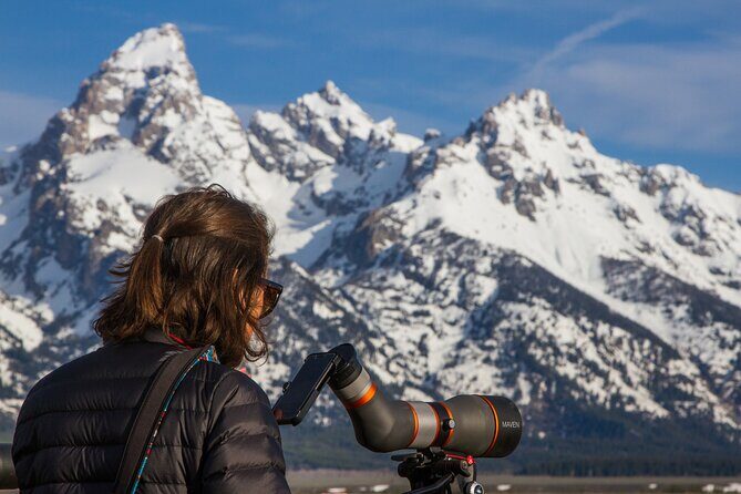 Sunrise 4-Hour Grand Teton Wildlife Adventure - Price and Overall Value