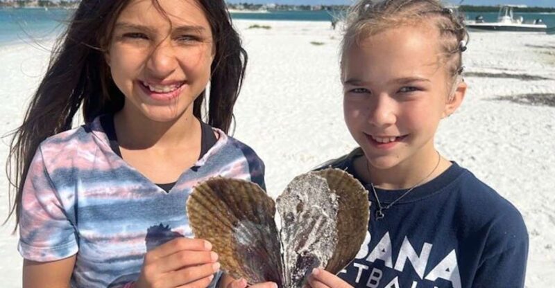 Sunrise and Shine 10,000 Islands Shelling Tour - Pricing and Overall Value