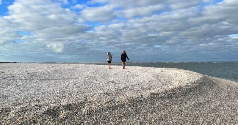 Sunrise and Shine 10,000 Islands Shelling Tour - The Details of the Shelling Experience