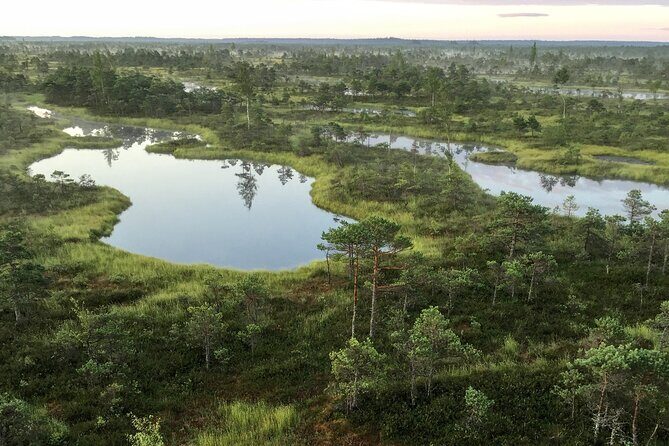 Sunrise at Kemeri National Park - The Itinerary: What You’ll See and Do