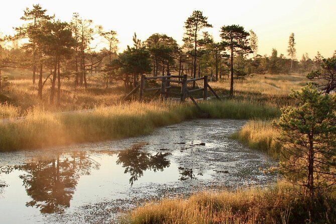 Sunrise at Kemeri National Park - Value and Practical Considerations