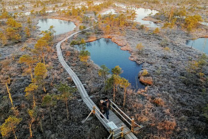 Sunrise at Kemeri National Park - The Sum Up: Is This Tour Worth It?