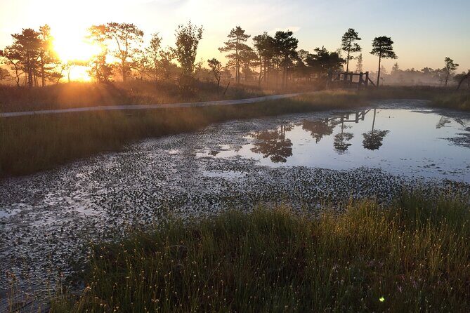 Sunrise at Kemeri National Park - FAQs About Sunrise at Kemeri National Park