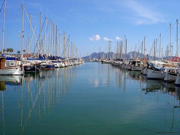 Sunrise Boat Trip in Mallorca with Dolphin-Watching - Key Points